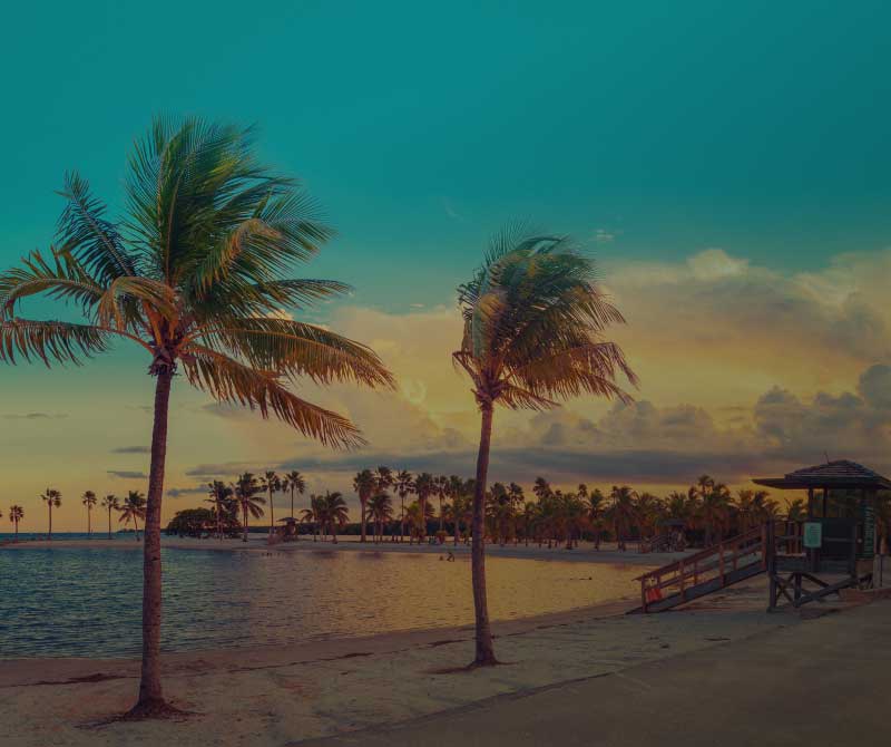 Flights From Miami | Delta Air Lines