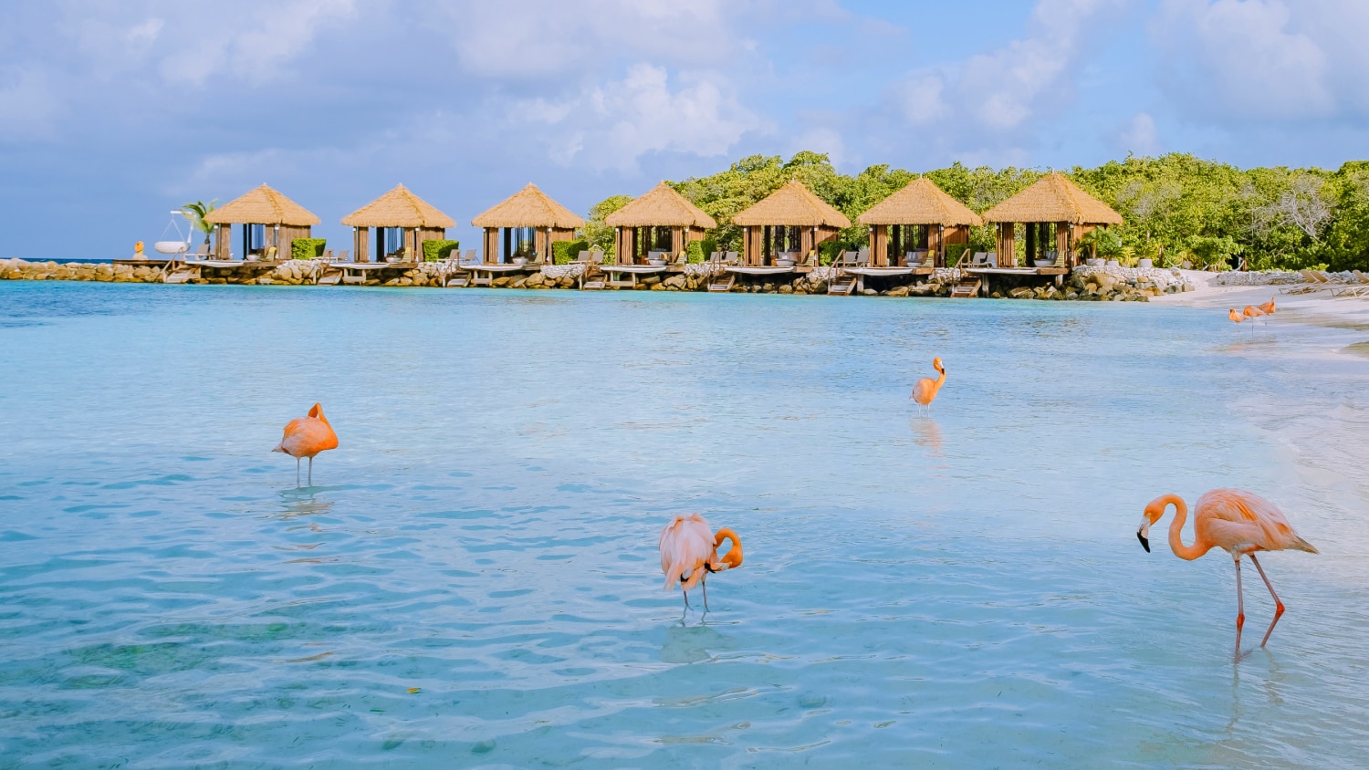 Flights to Aruba + AUA Flight Deals | Delta Air Lines